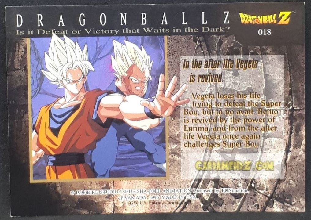 Trading Card Chromium DBZ Part 1 N° 18 (1996) – cardamehdz